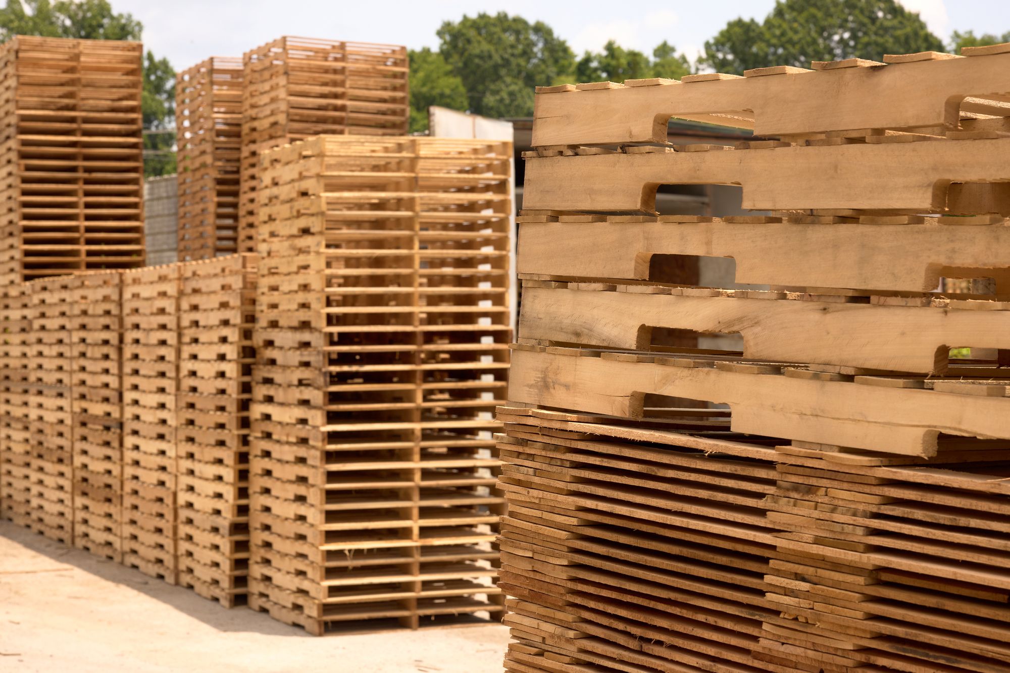 Pallet Supplier Near Me | Pallets Plus